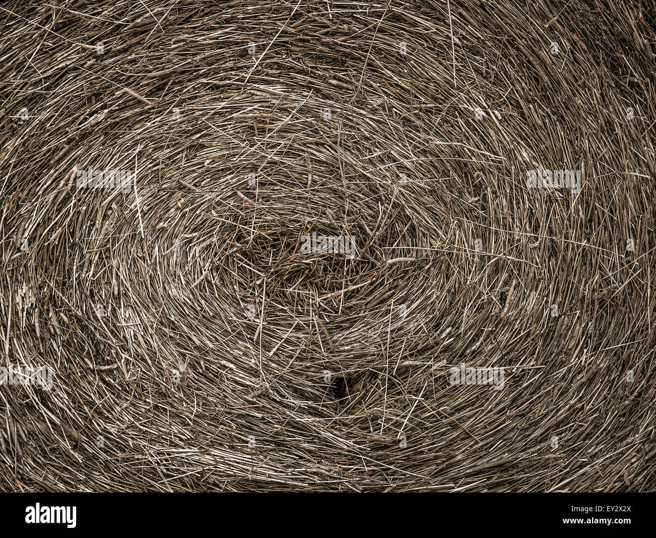 Abstract Background Texture Of A Round Bale Of Hay Stock Photo - Alamy