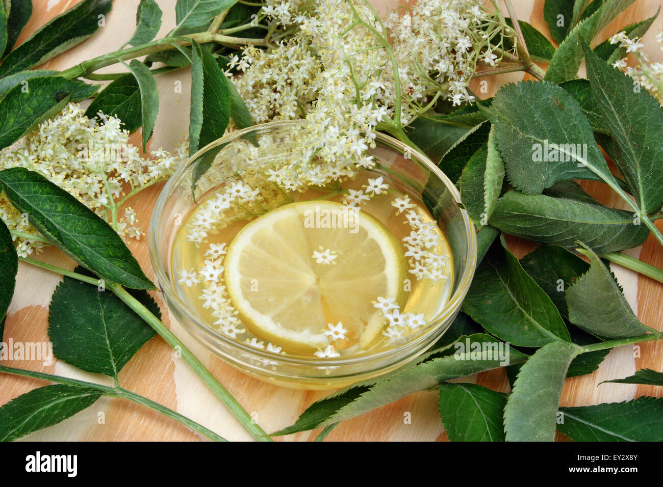 Elderberry lemonade with fresh lemon and elderberry blossom Stock Photo ...