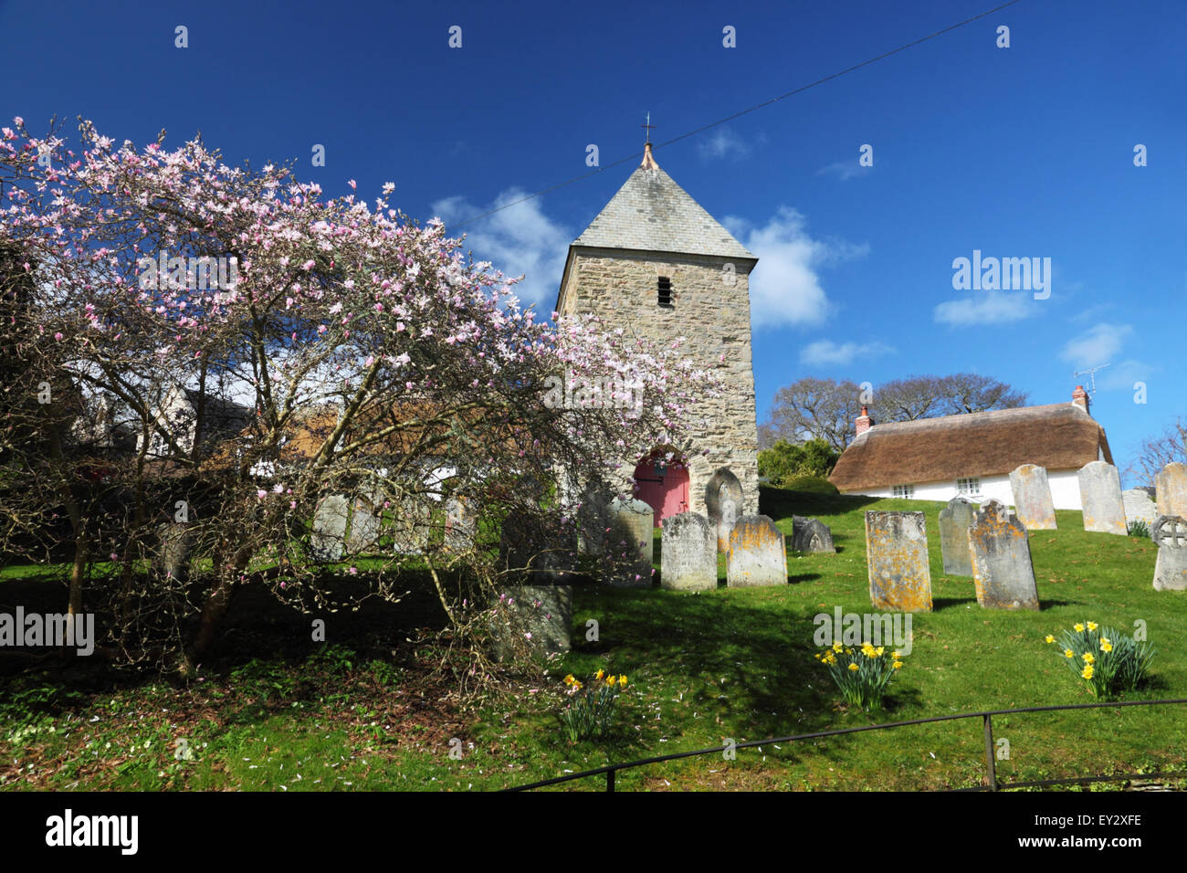 Spring at Feock, near Truro, Cornwall. The church of St Feoca has a C13 ...