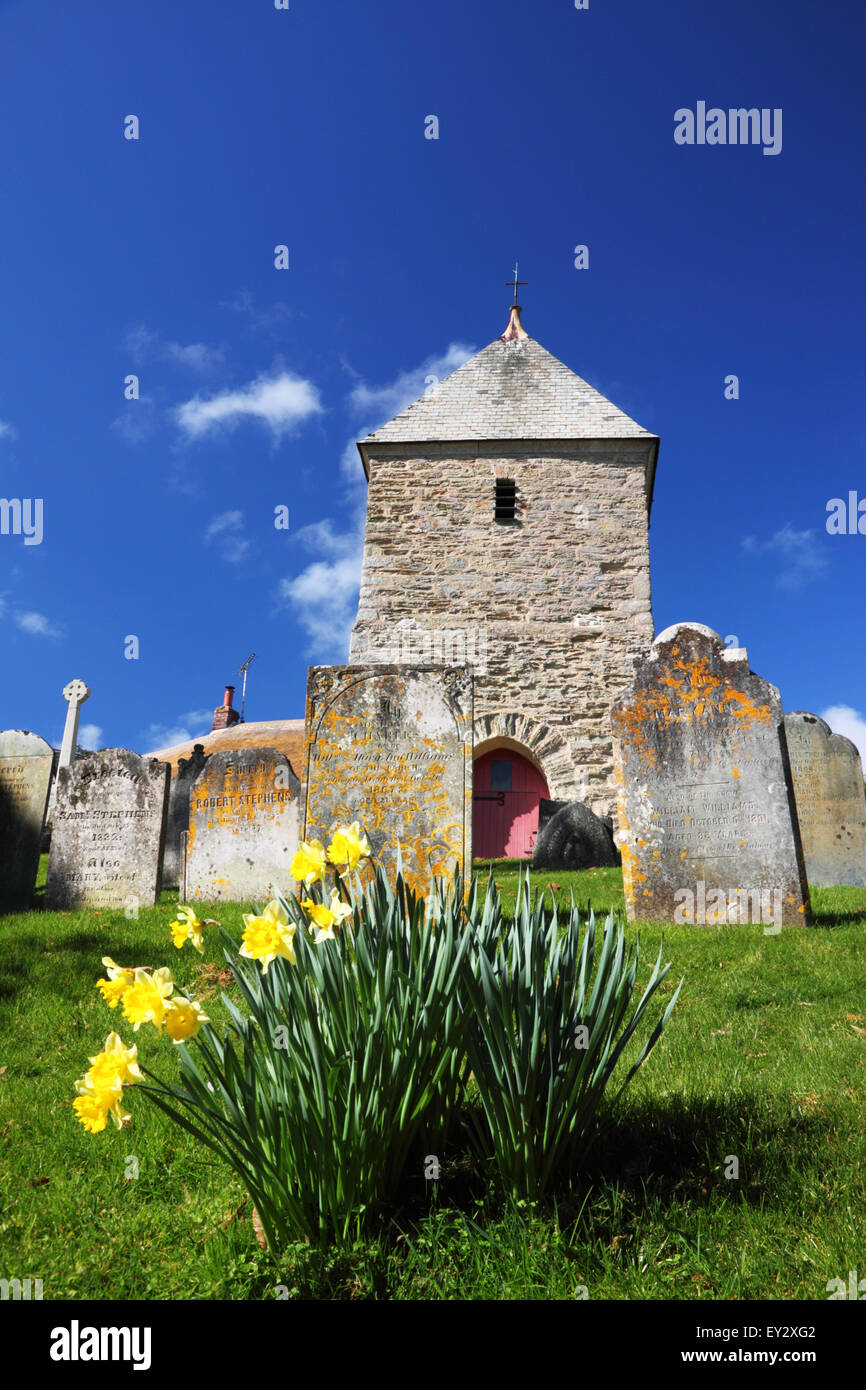Spring at Feock, near Truro, Cornwall. The church of St Feoca has a C13 ...