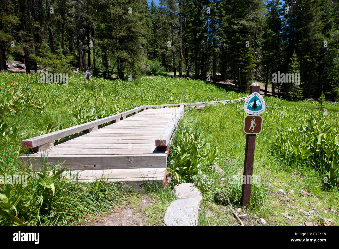 Boardwalk section of the Pacific Crest Trail, Lassen Volcanic National ...