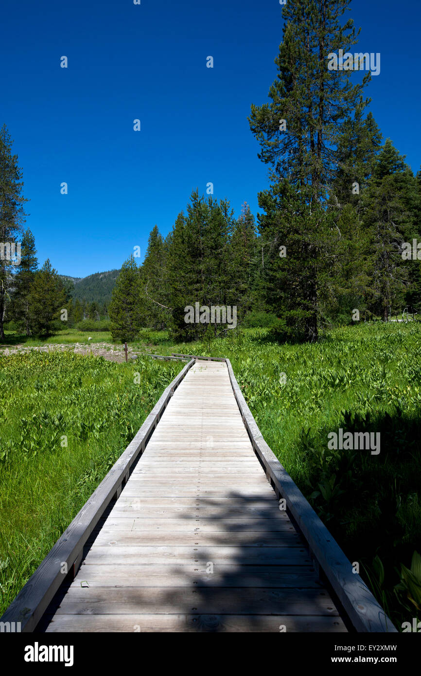 Boardwalk section of the Pacific Crest Trail, Lassen Volcanic National ...