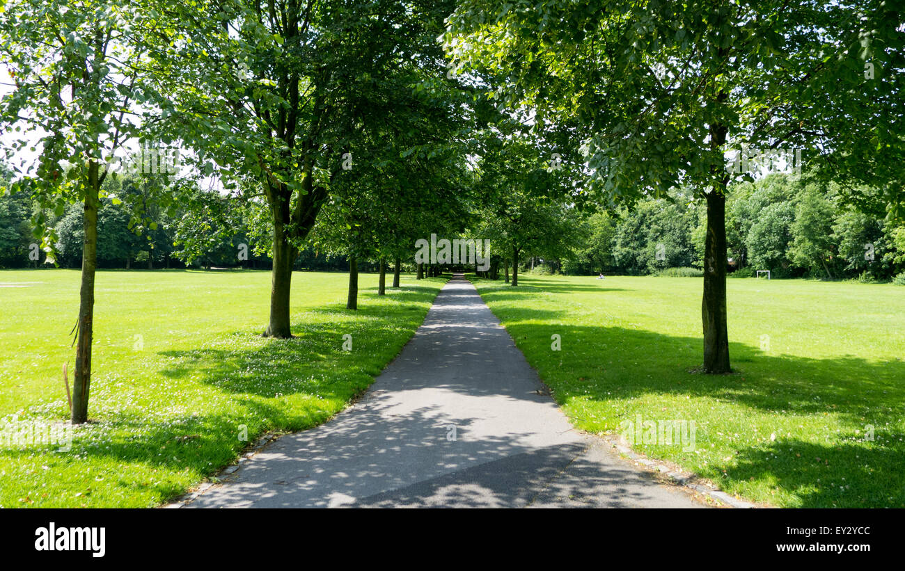Tree lined park pathway hi-res stock photography and images - Alamy