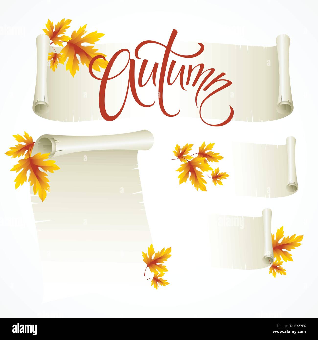 Vector illustration - scroll frame from autumn leaves Stock Vector ...