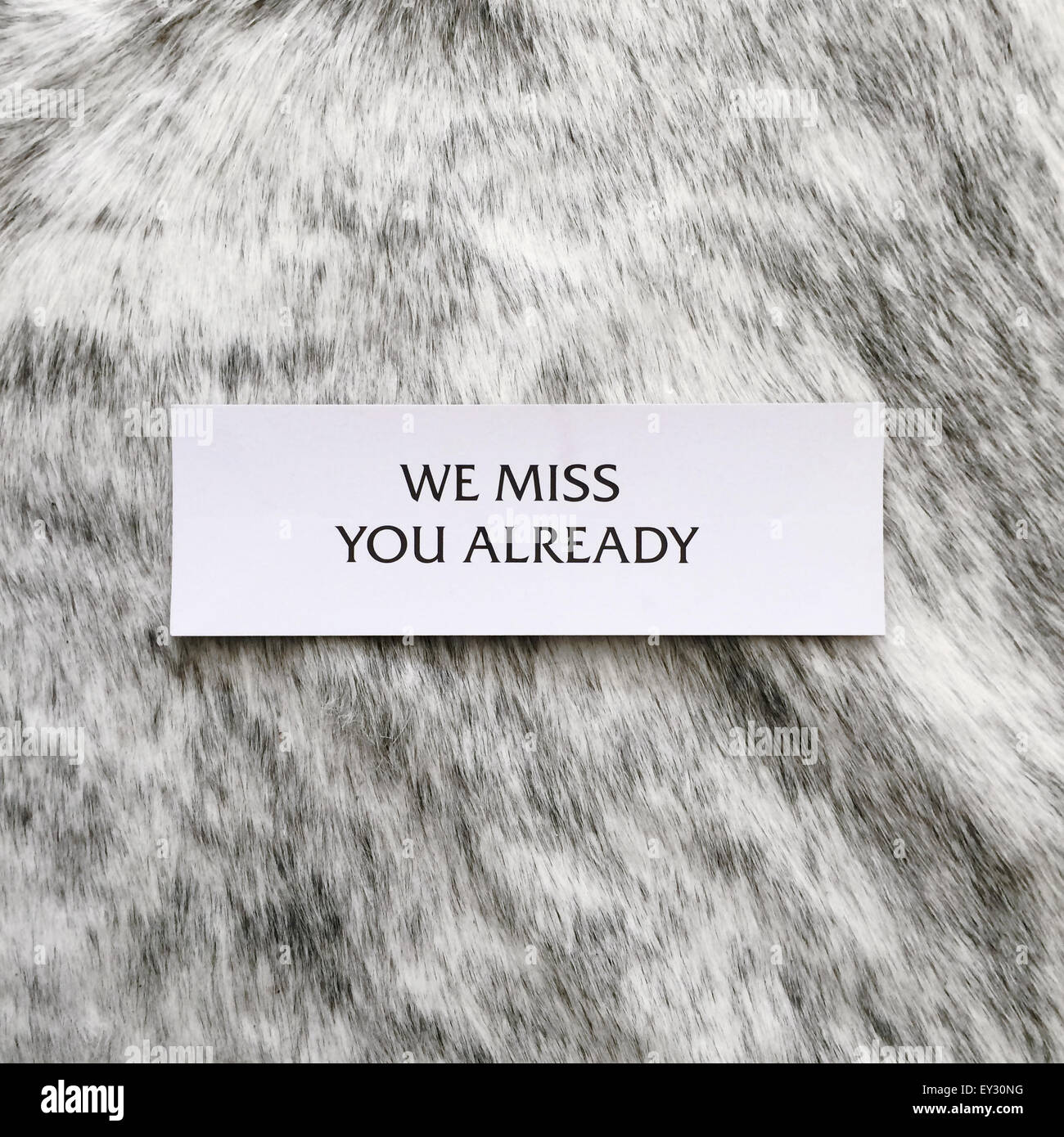 Polite note hi-res stock photography and images - Alamy