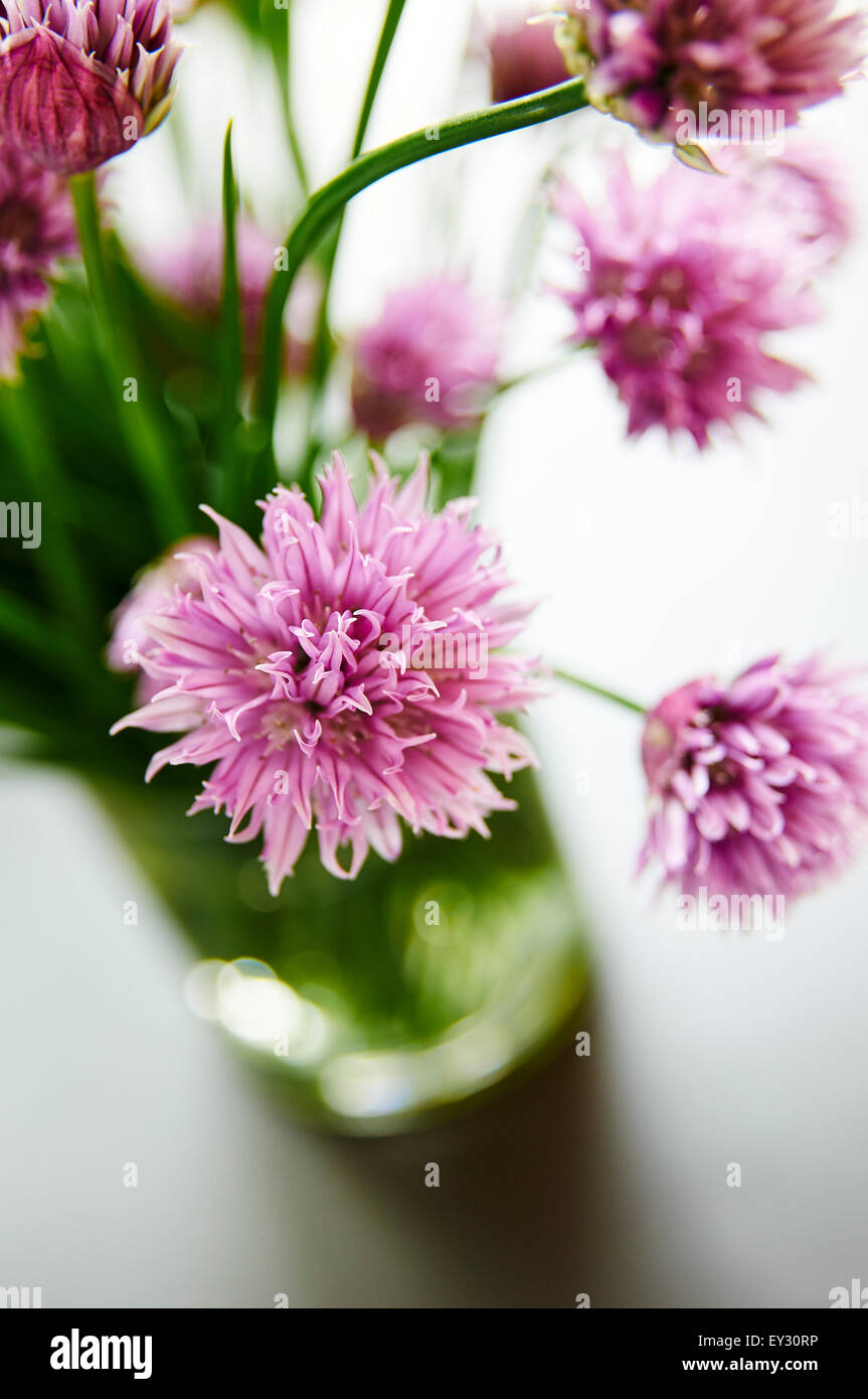 Edible Flower Garnish High Resolution Stock Photography and Images - Alamy
