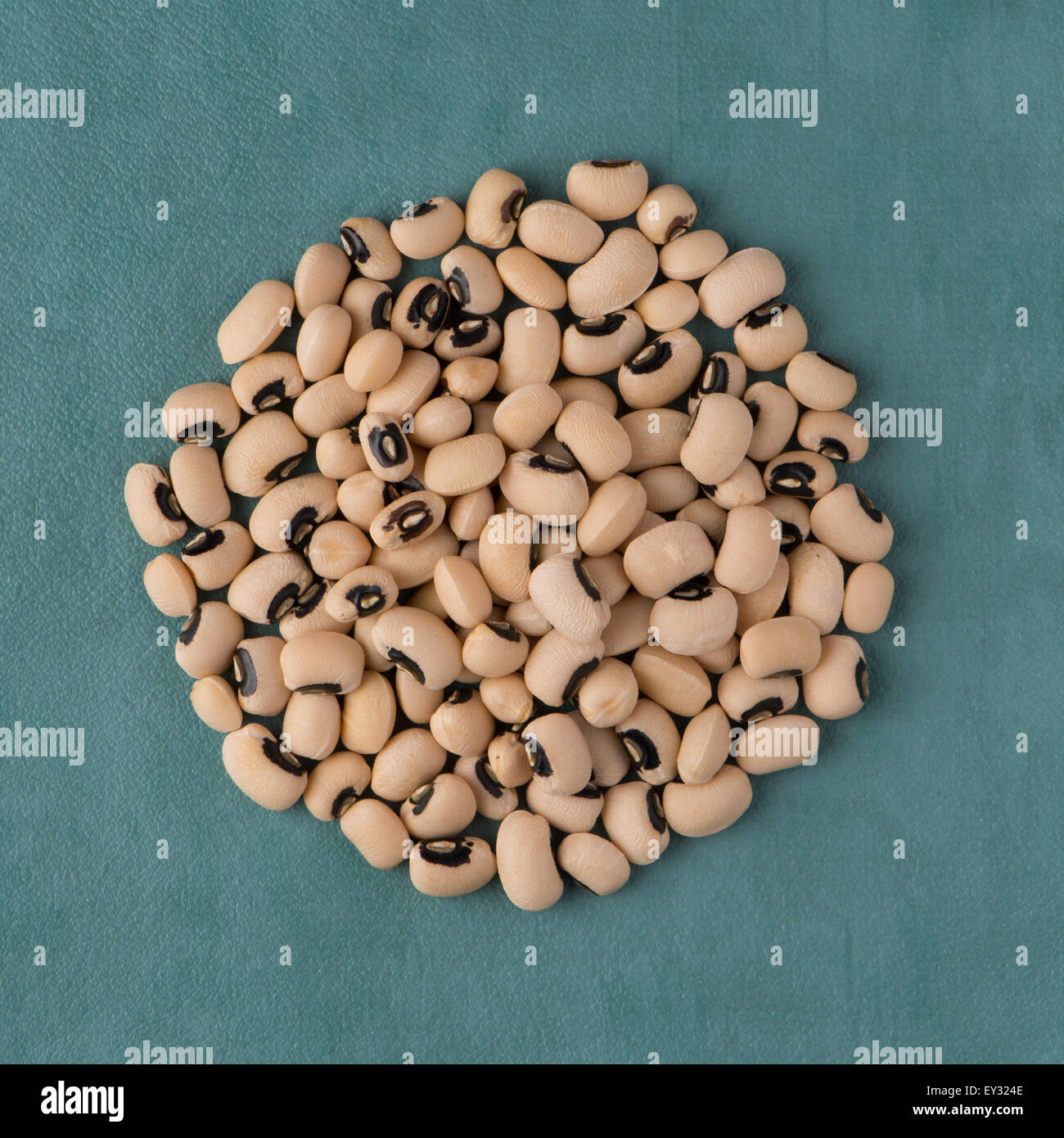 Top view of circle of white beans against blue vinyl background Stock ...