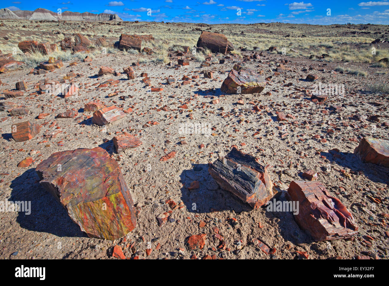 Petrified Forest National Park, Arizona, USA Stock Photo - Alamy