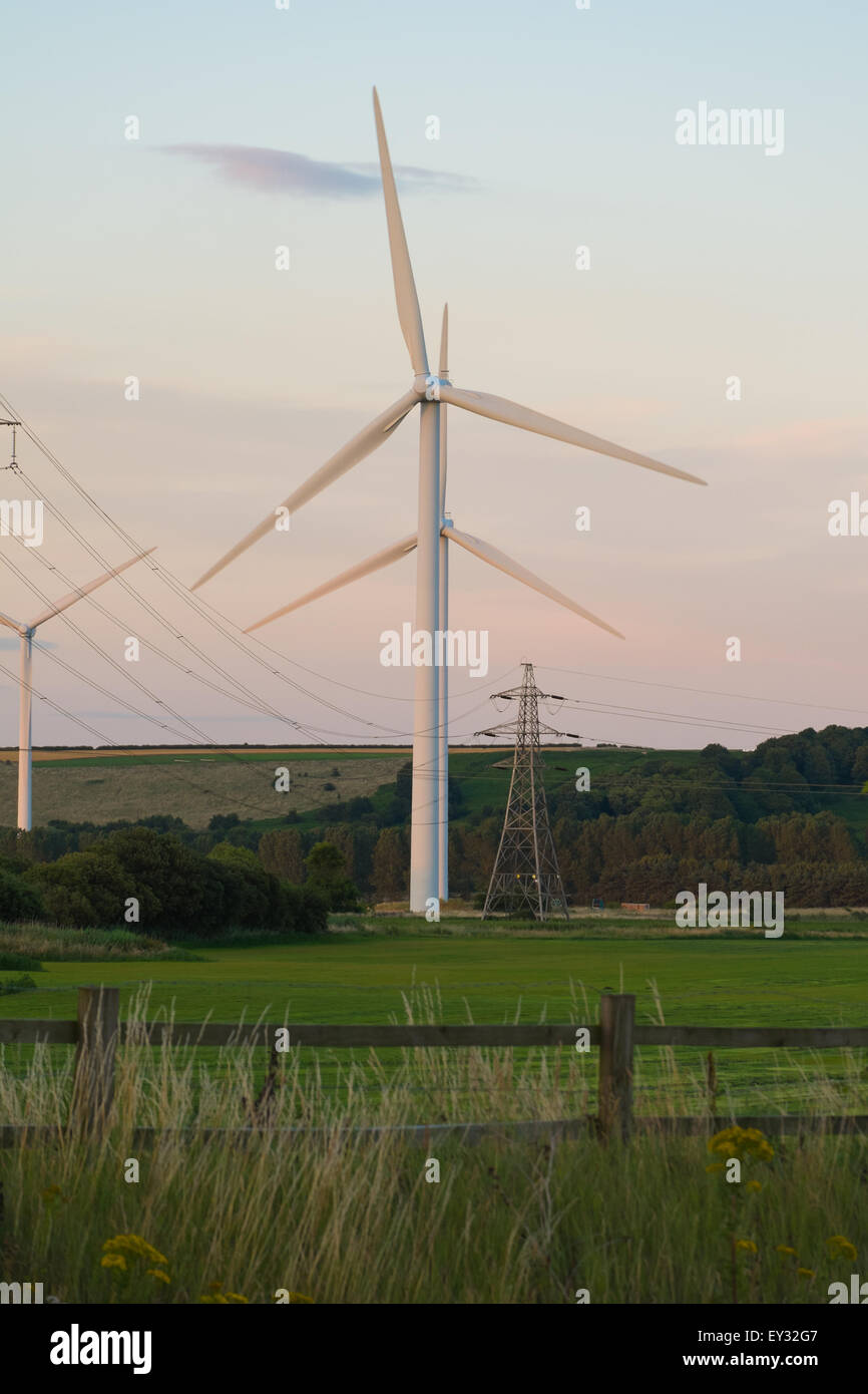wind turbines and electricity pylons in a grass field Stock Photo - Alamy