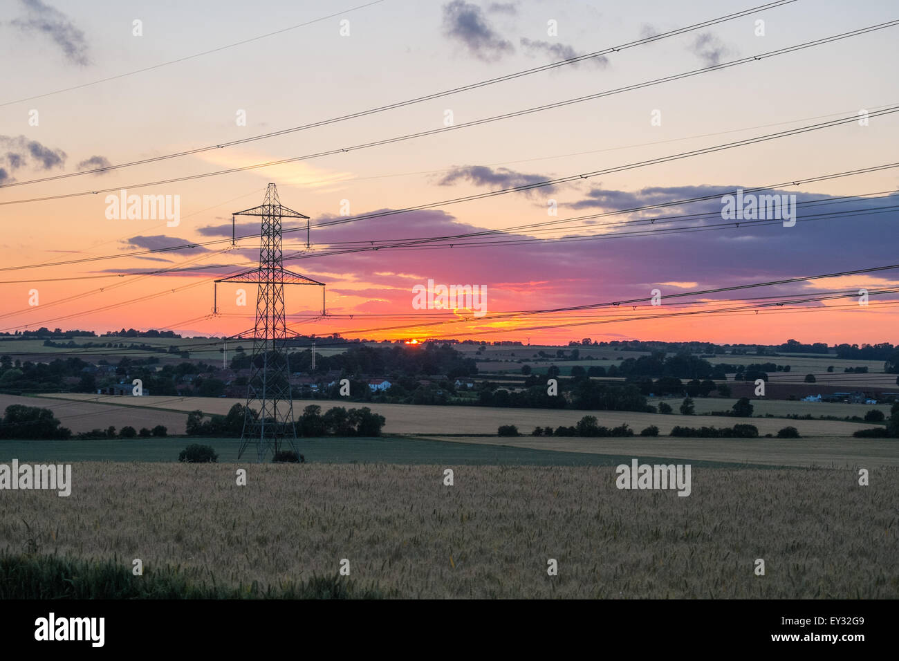 sunset shot of electricity pylon in field with multiple power lines ...