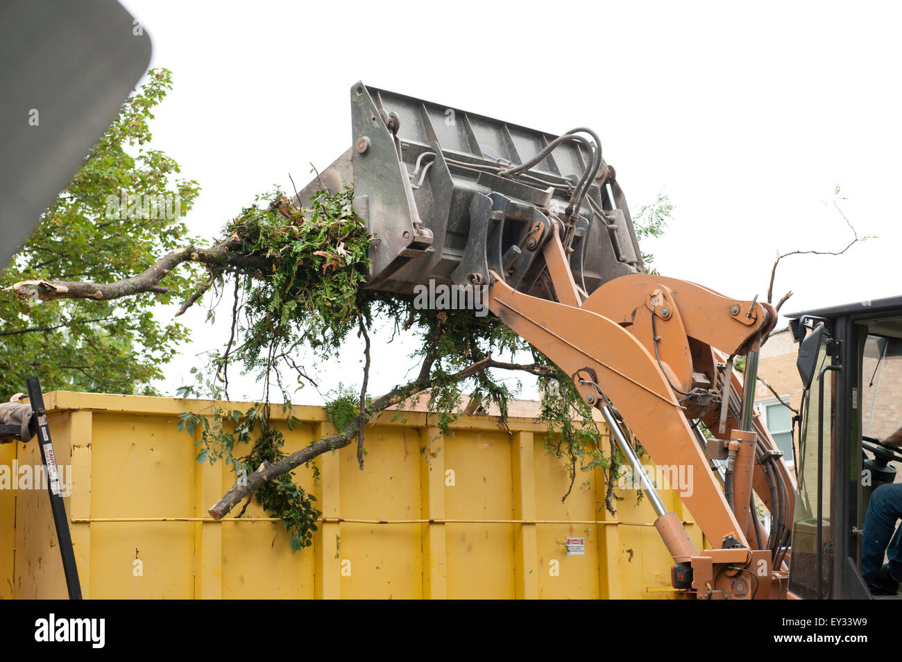 Emergency tree removal hi-res stock photography and images - Alamy