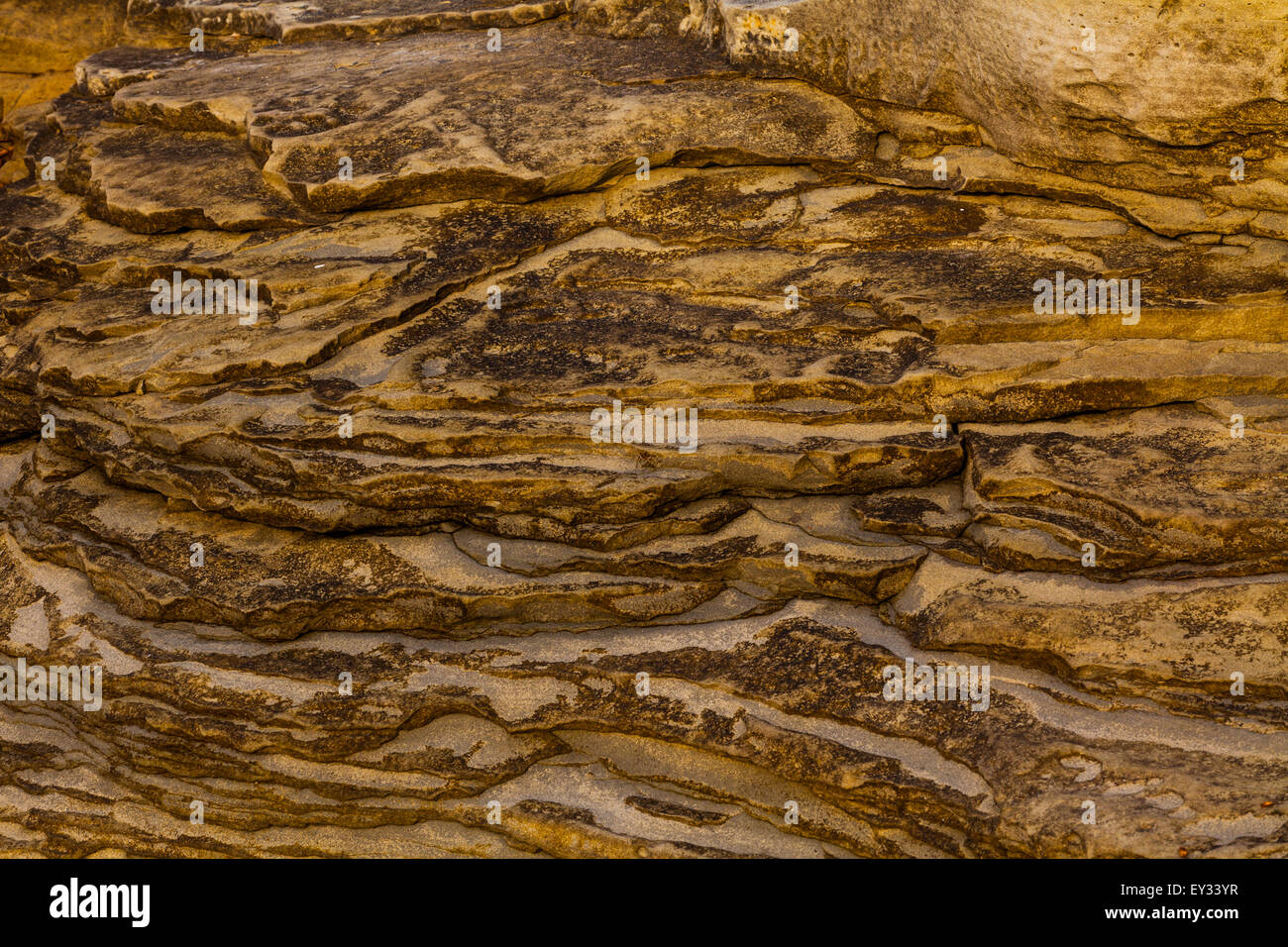 Stratified sandstone sedimentary layers on a beach of Protection Island ...