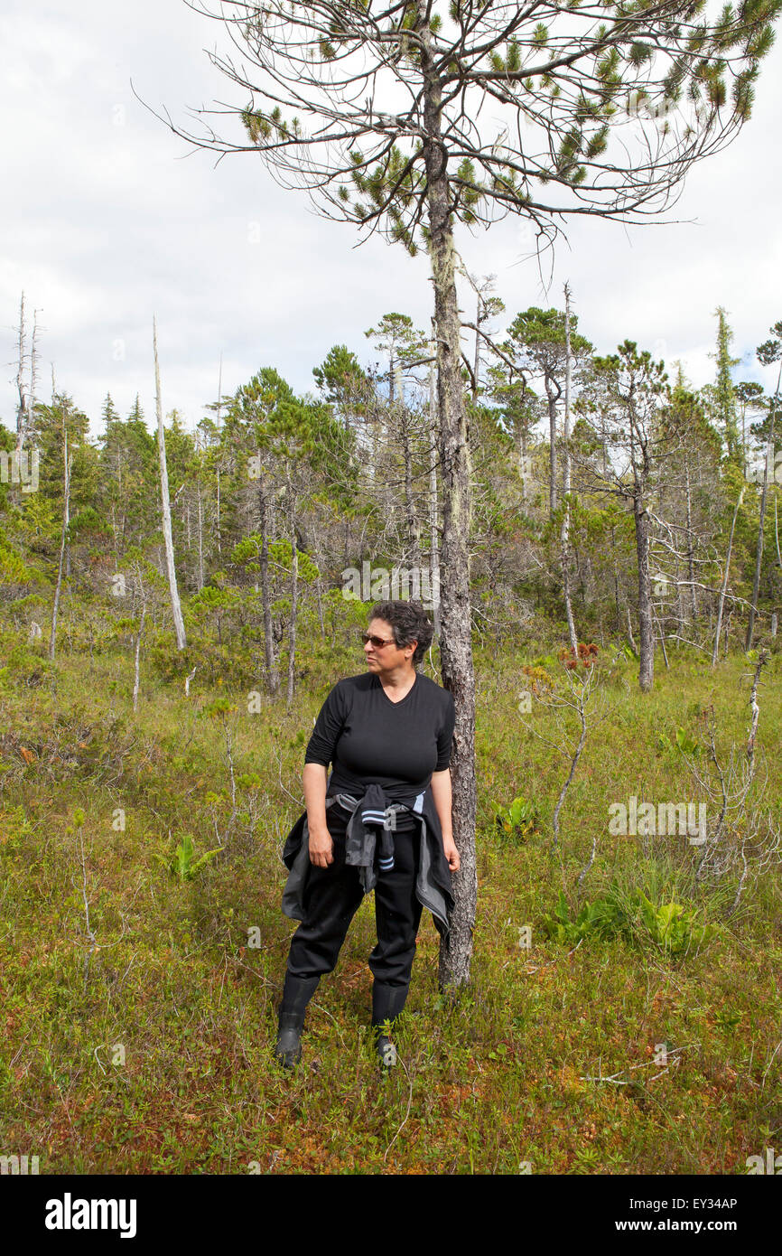 Muskeg hi-res stock photography and images - Alamy
