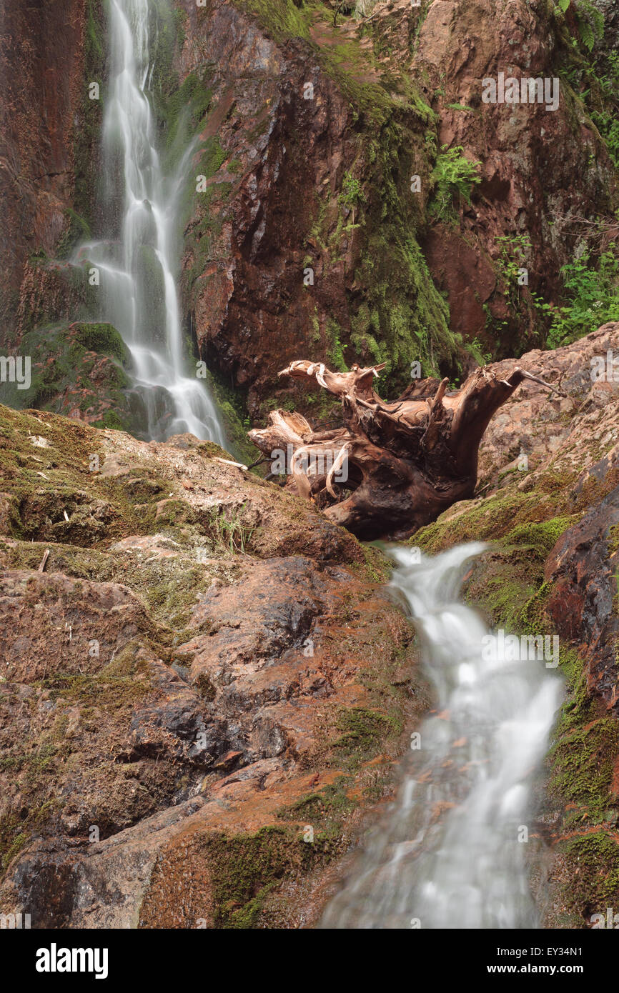 Two level waterfall with tree roots lying among the rocks Stock Photo ...