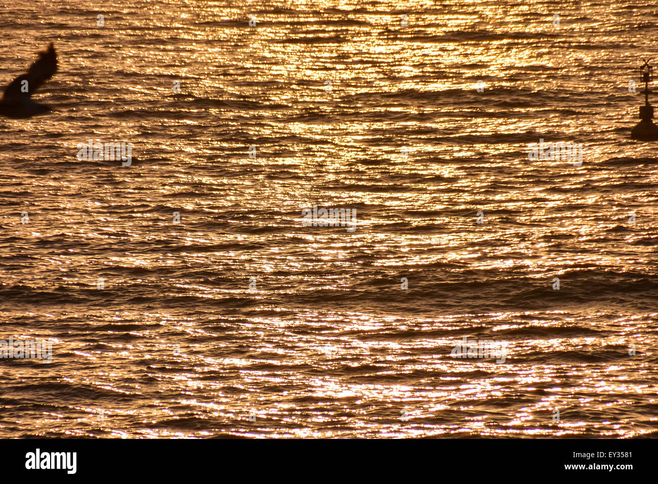 Detailed Texture Of Sea Water Stock Photo - Alamy