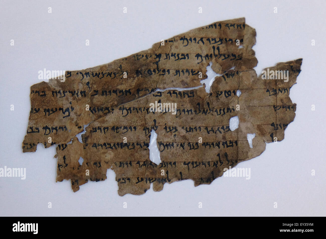 Fragment of the Dead Sea scrolls in a conservation laboratory at the ...