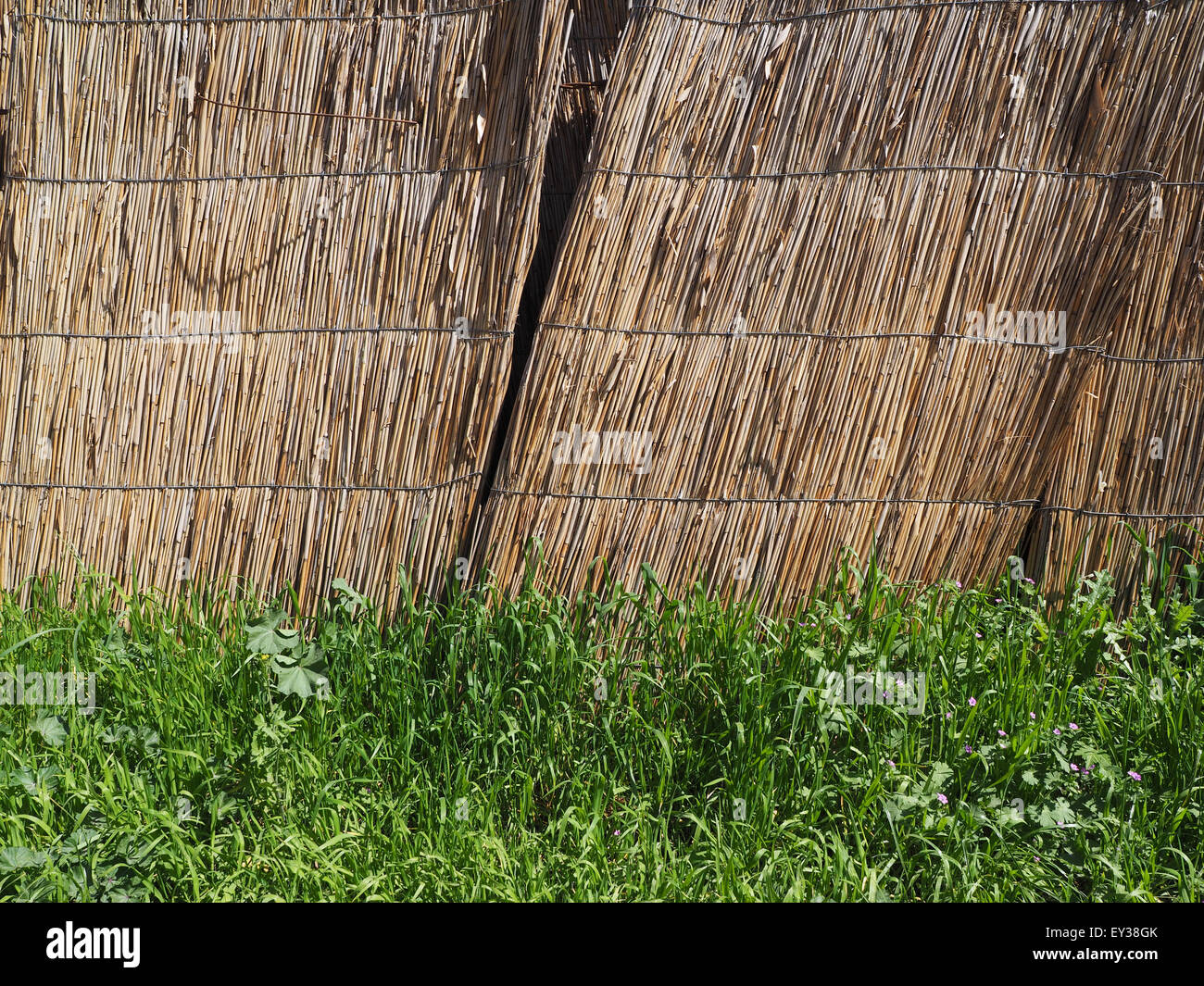 straw fence and grass. background Stock Photo - Alamy