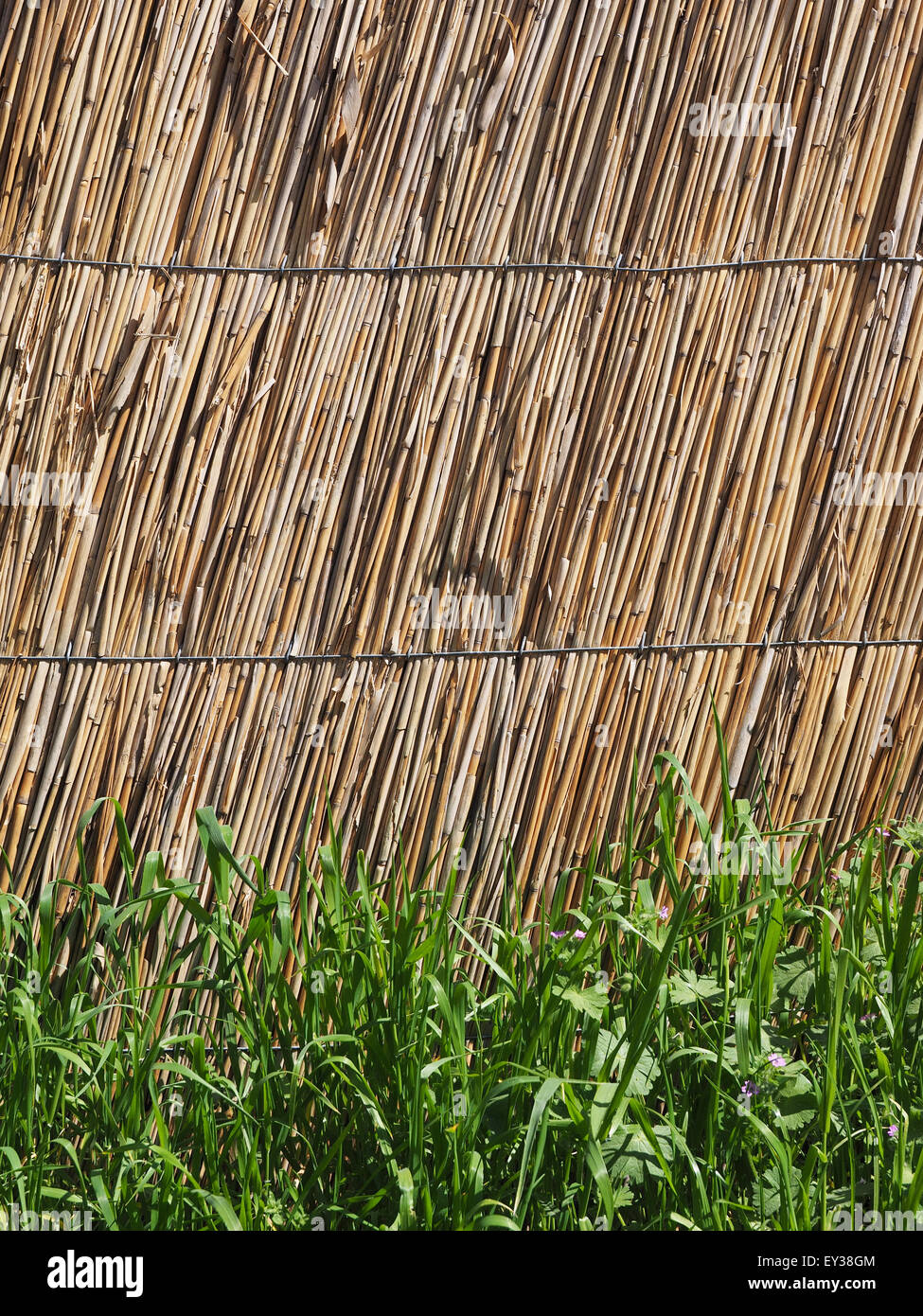 straw fence and grass. background Stock Photo - Alamy