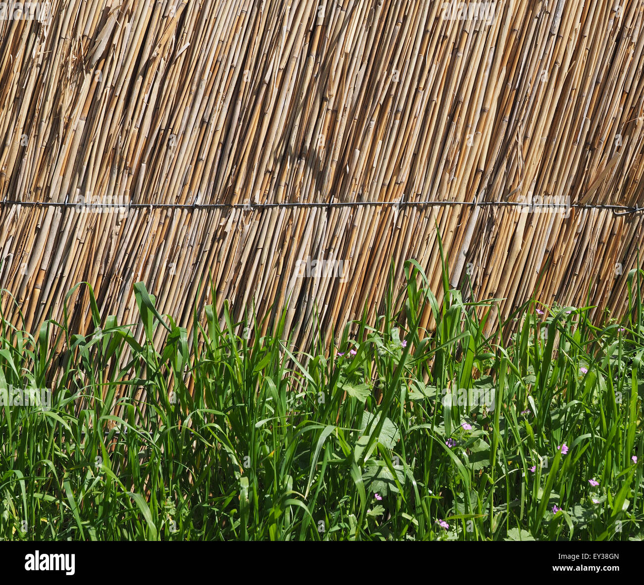 straw fence and grass. background Stock Photo - Alamy