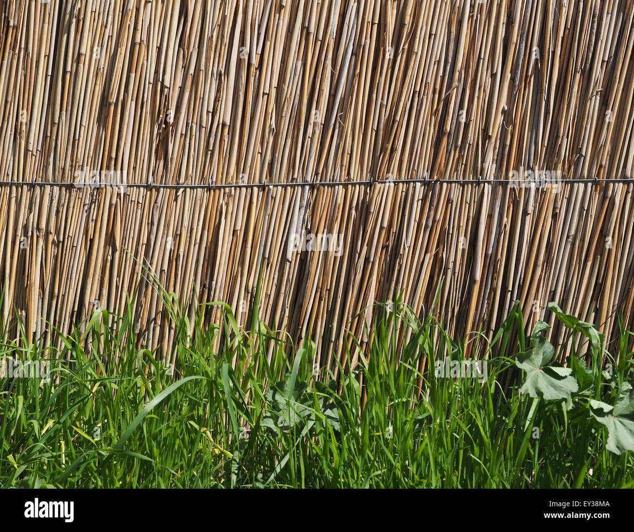 straw fence and grass. background Stock Photo - Alamy