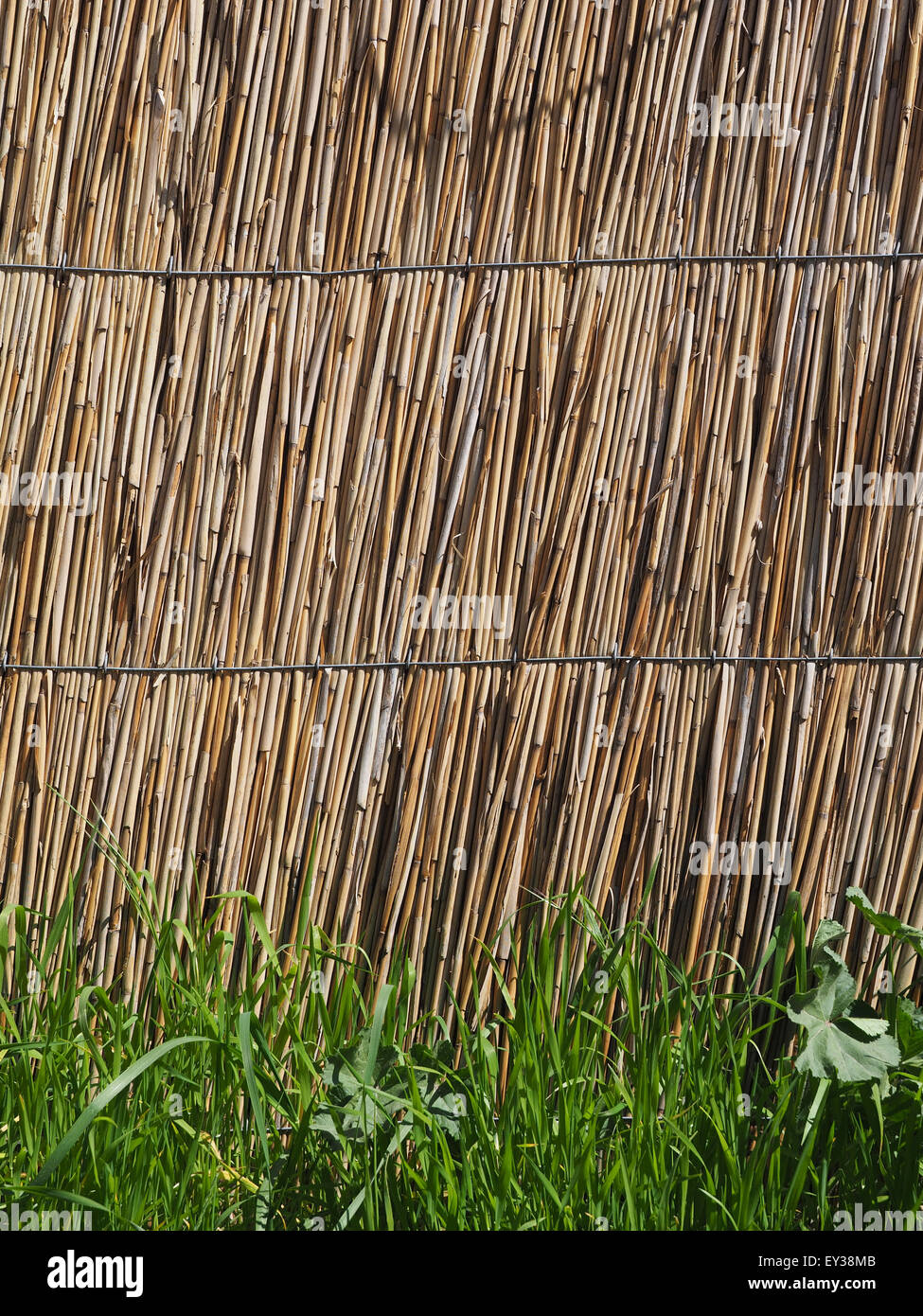 straw fence and grass. background Stock Photo - Alamy
