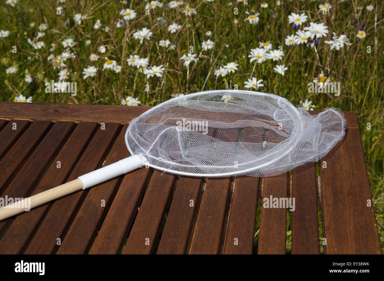 Insect net table hi-res stock photography and images - Alamy