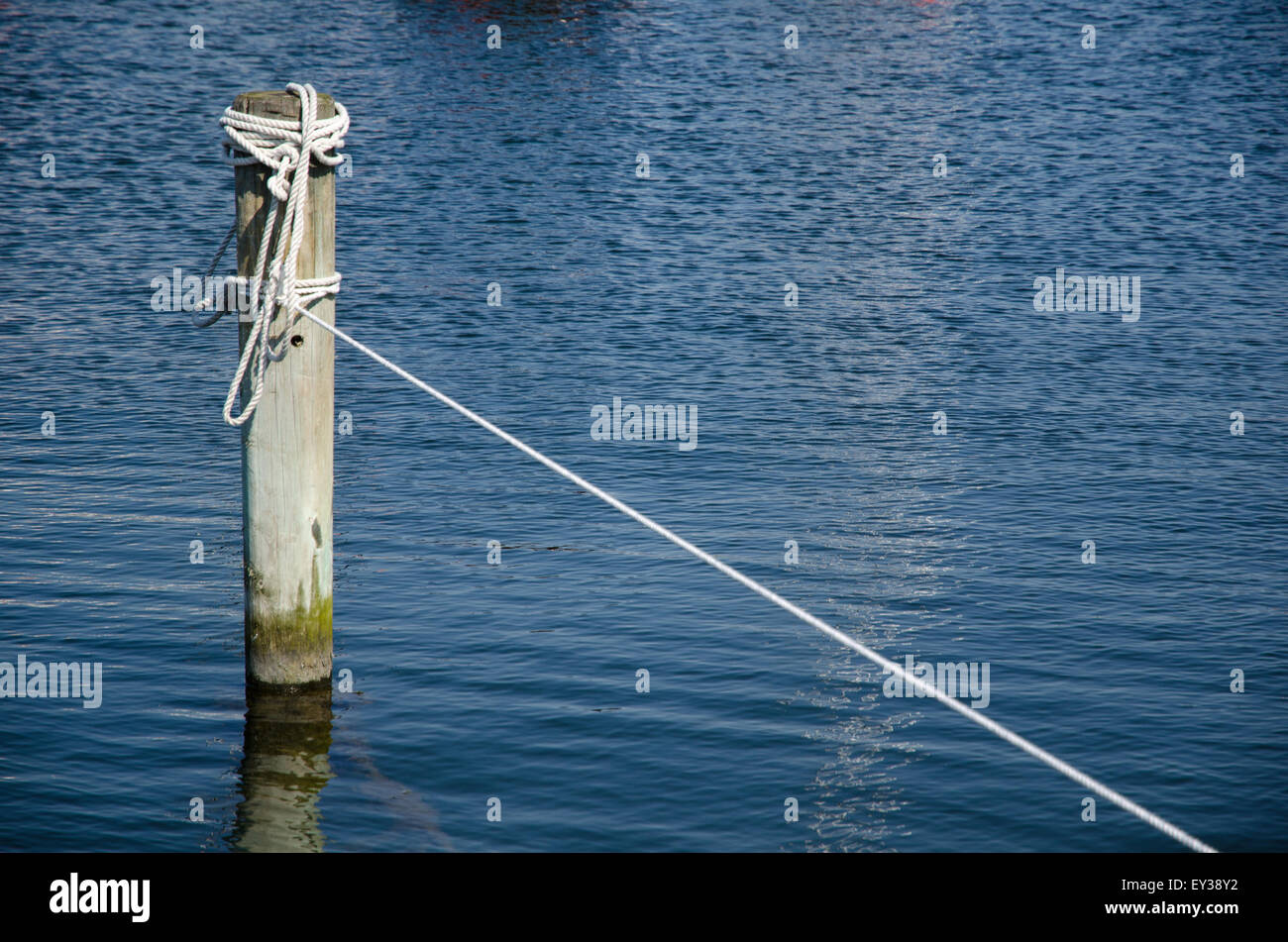 Single wooden pole with ropes in blue water Stock Photo - Alamy