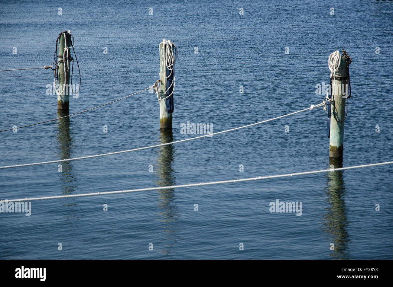 Three wooden poles in blue water with white ropes Stock Photo - Alamy