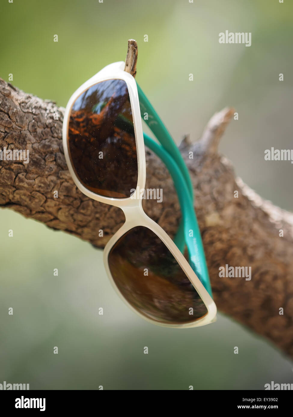 sunglasses on a tree Stock Photo - Alamy