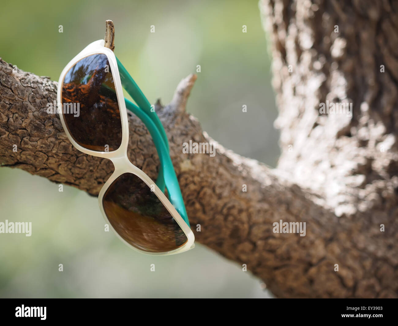 sunglasses on a tree Stock Photo - Alamy