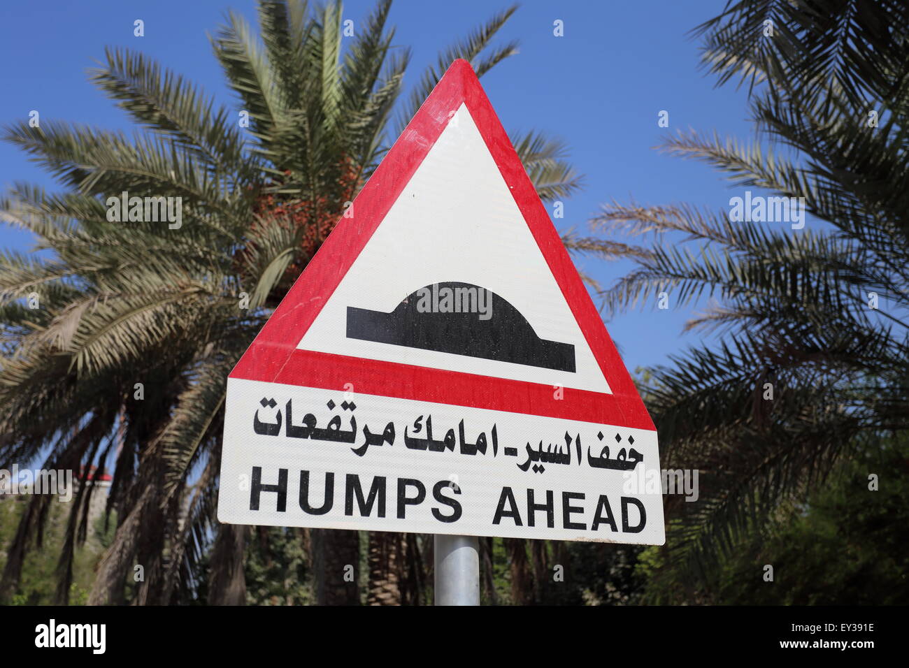 A road sign in Arabic and English warning motorists of speed humps ...