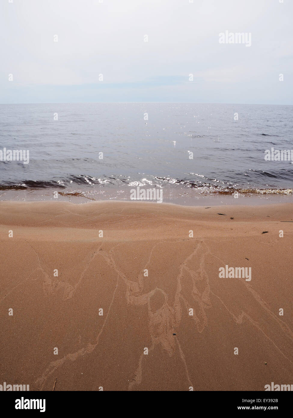 sandy shore of the lake Stock Photo - Alamy