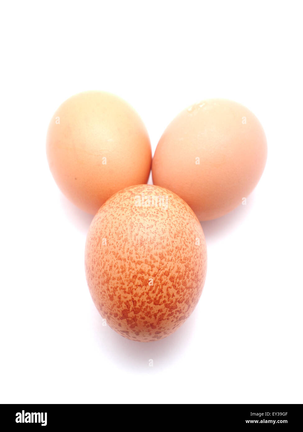 egg on a white background Stock Photo - Alamy