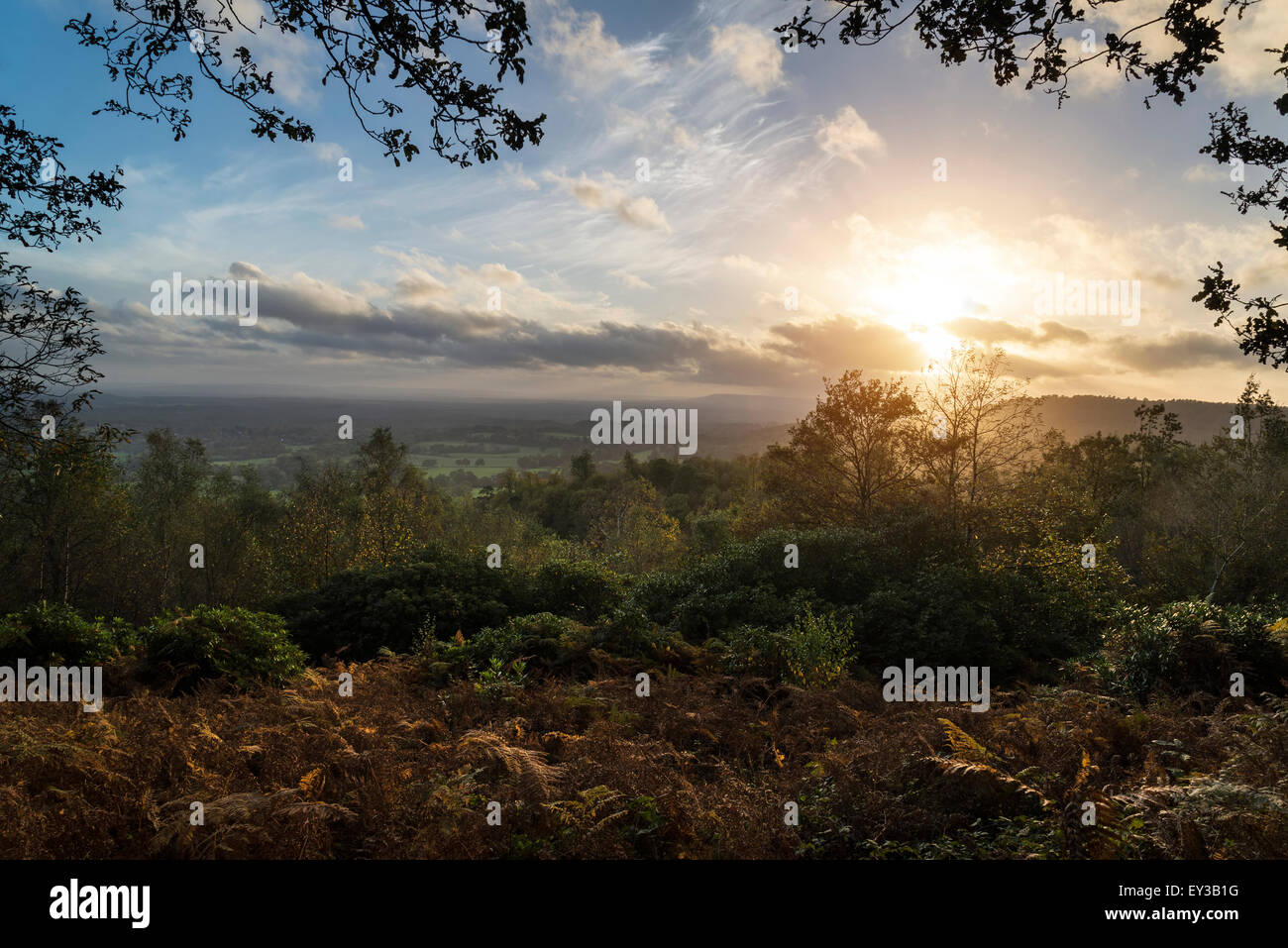 Stunning Autumn Fall sunset over forest landscape with moody dramatic ...