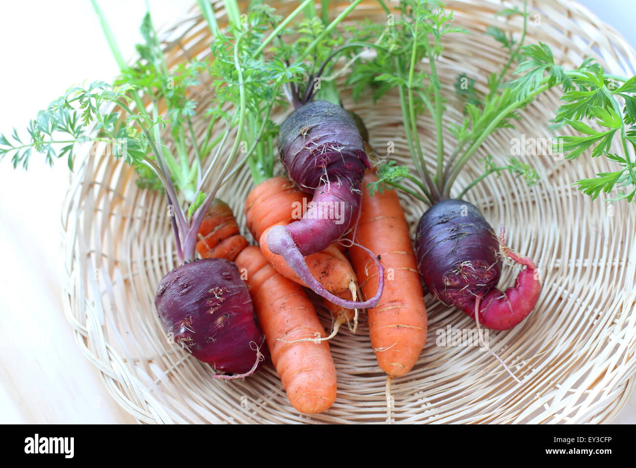Freshly carrots hi-res stock photography and images - Alamy