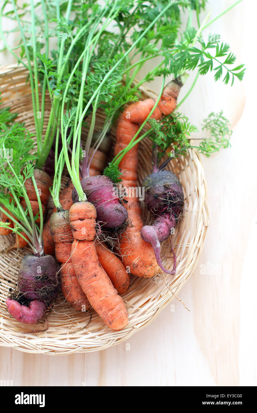 Freshly carrots hi-res stock photography and images - Alamy