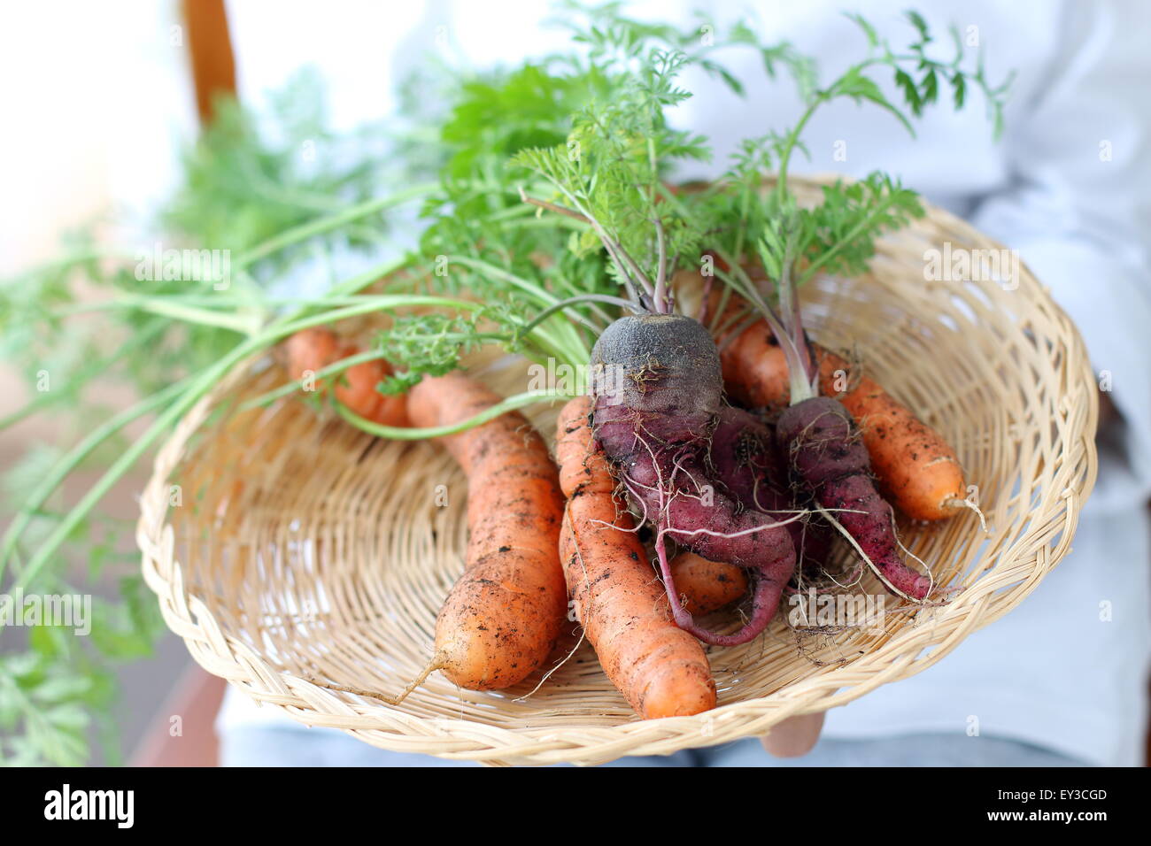 Odd Shaped Carrots Stock Photos & Odd Shaped Carrots Stock Images - Alamy