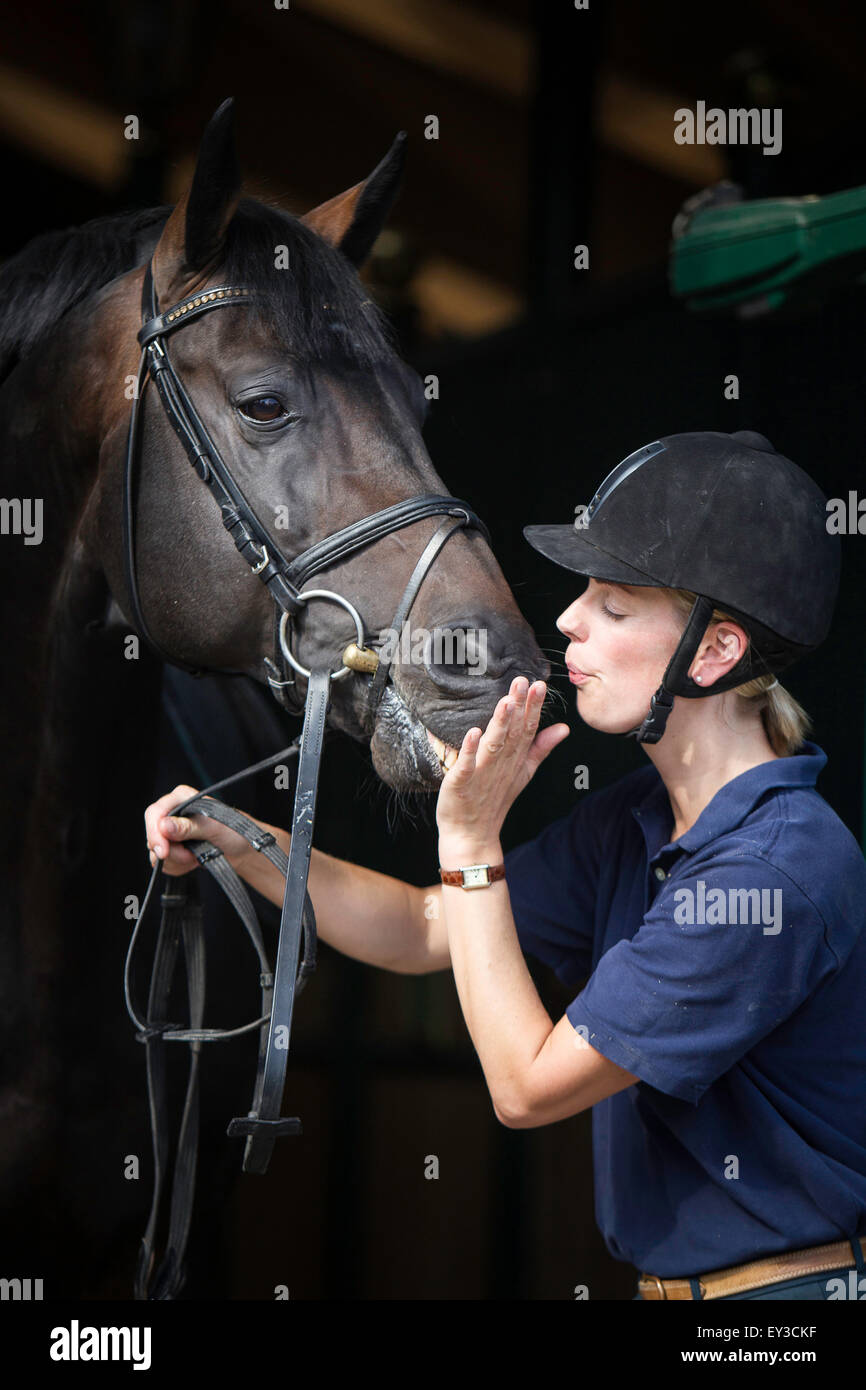 Holsteiner Horse. Young woman smooching with bay stallion. Germany ...