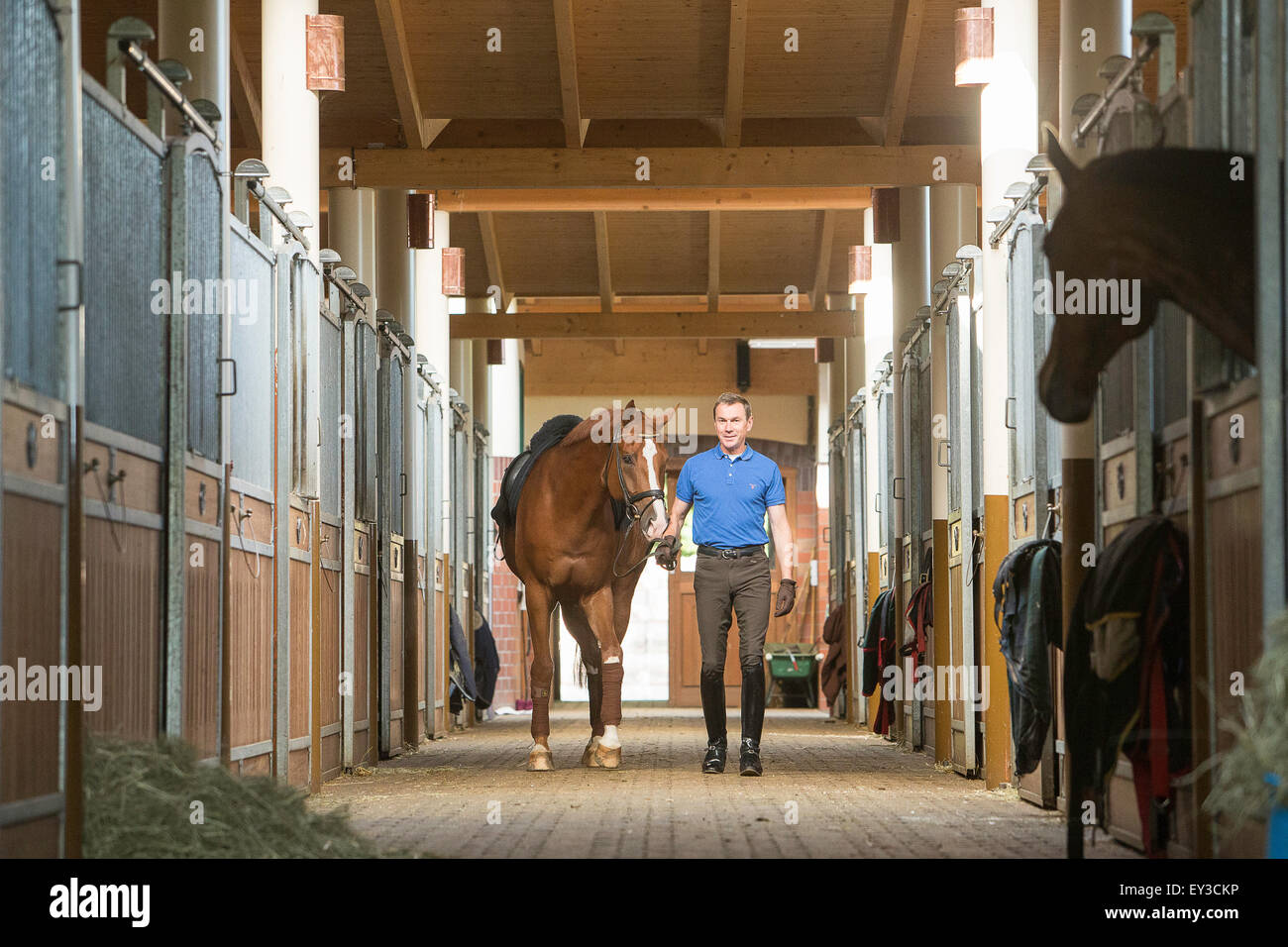 Rider leading a chestnut horse in a stable lane. Germany Stock Photo ...
