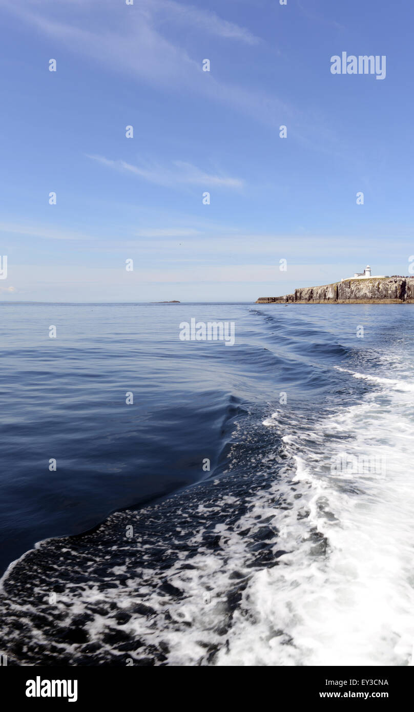 boat trip to the inner farne islands Stock Photo - Alamy
