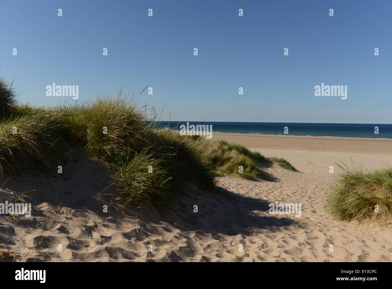 Bamburgh beach and the sand dunes Stock Photo - Alamy