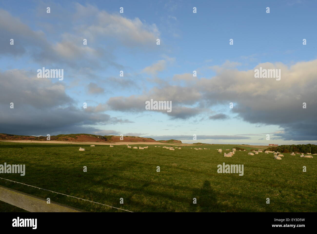 Bamburgh coast hi-res stock photography and images - Alamy