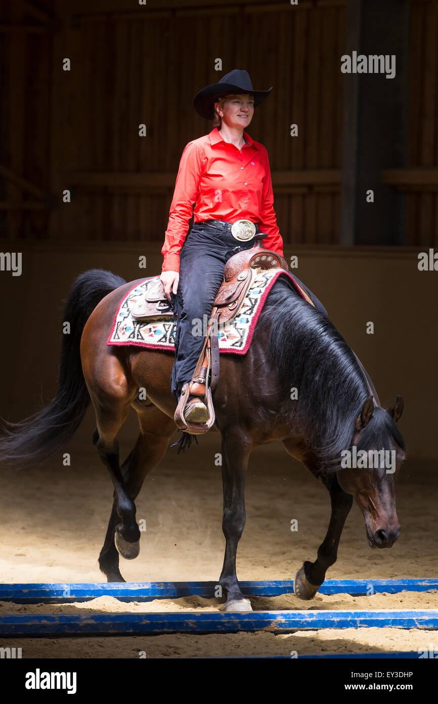 Saddle rails hi-res stock photography and images - Alamy