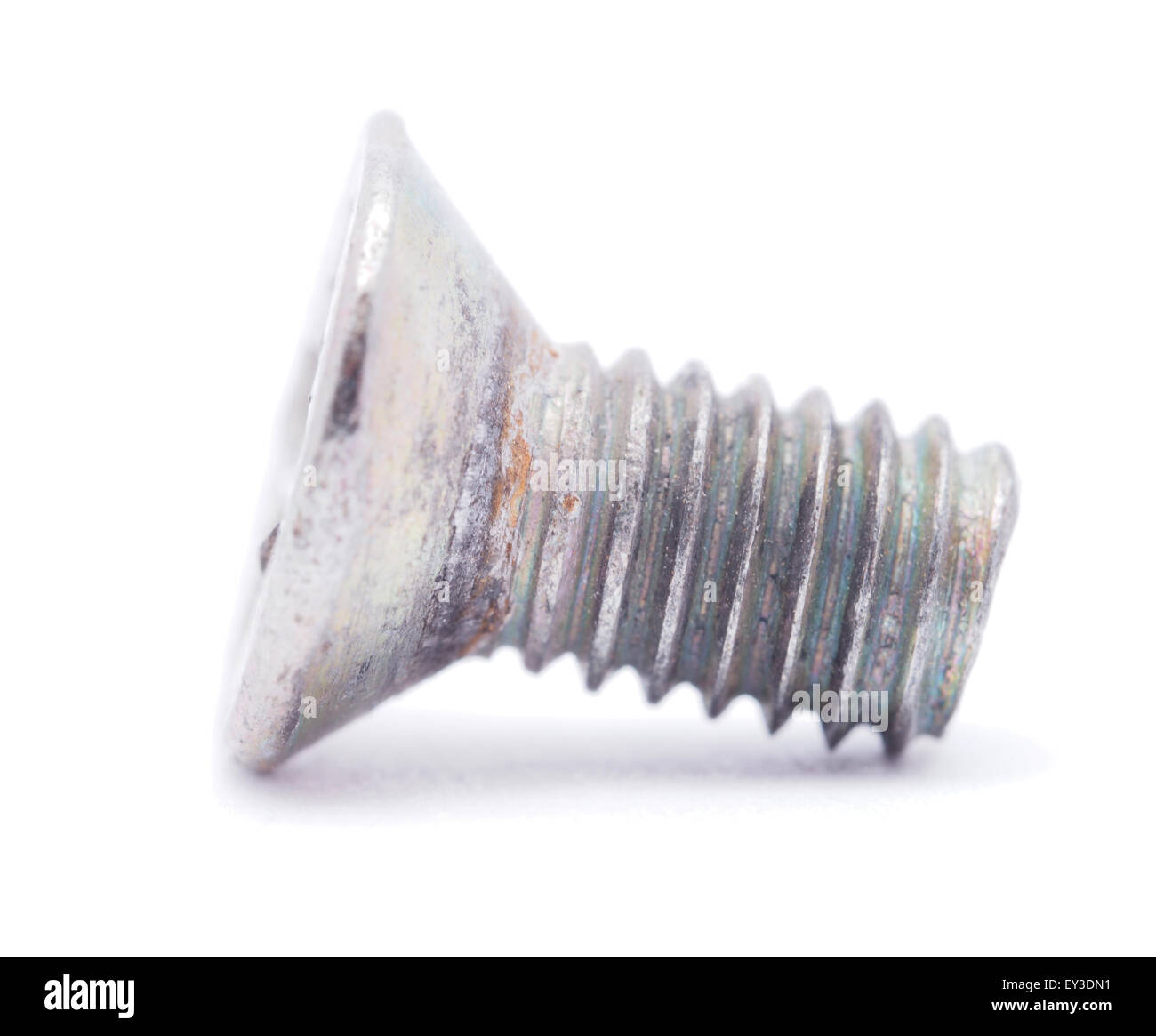 screw on white background Stock Photo - Alamy