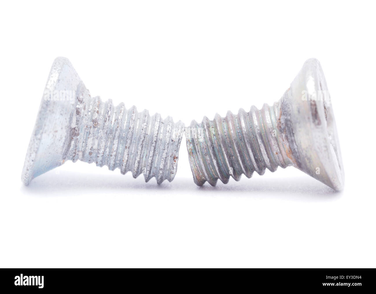 screw on white background Stock Photo - Alamy
