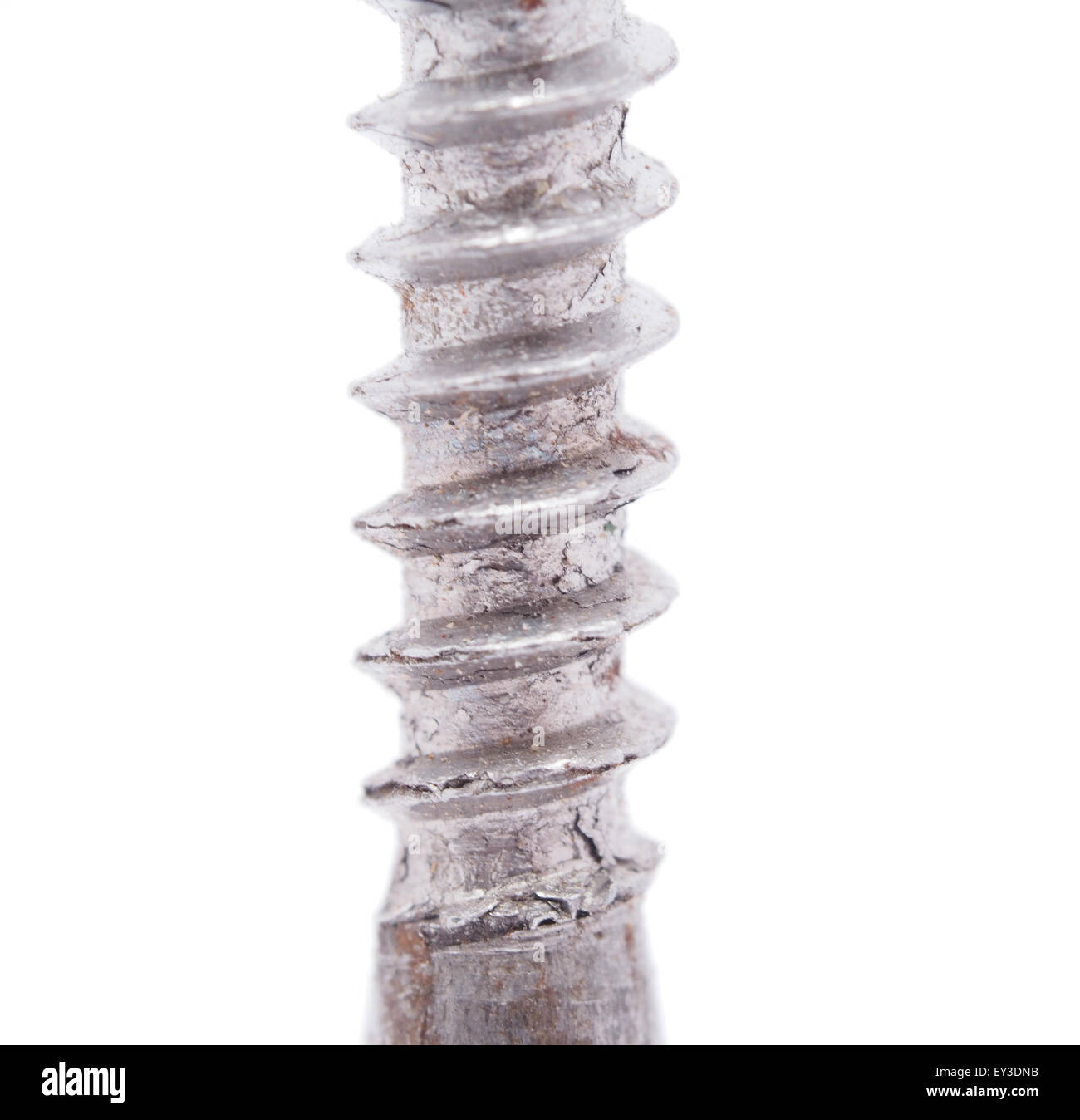 screw on white background Stock Photo - Alamy