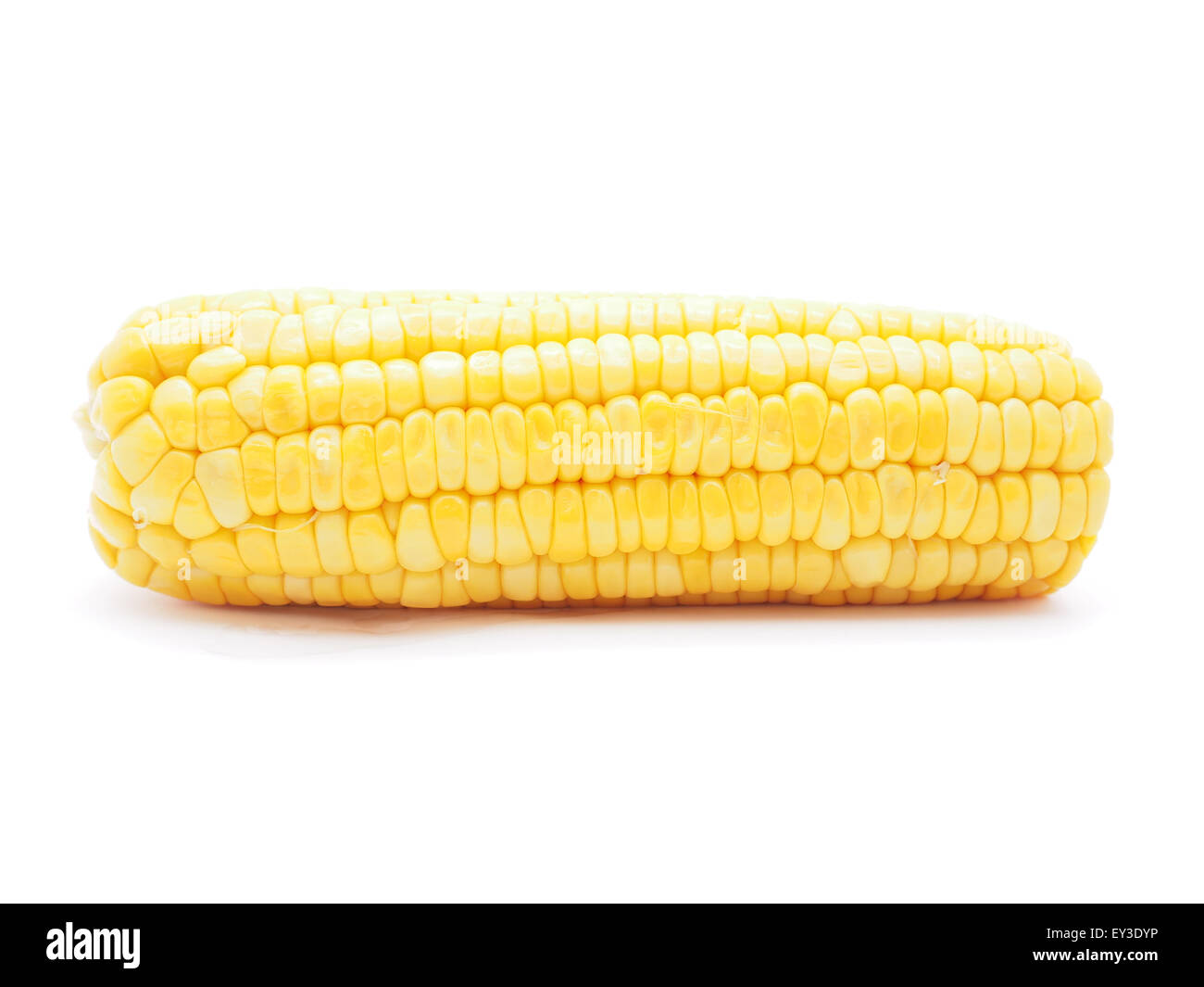 corn on a white background Stock Photo - Alamy