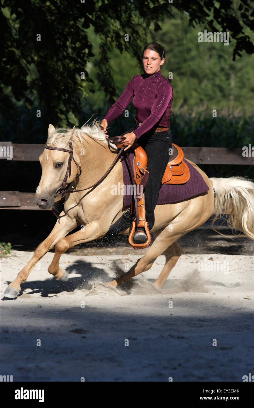Quarter Pony. Rider Sita Stepper galloping with a palomino stallion on ...