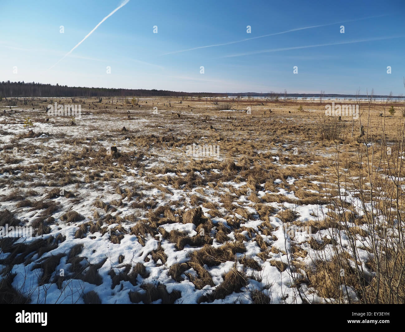 field in early spring Stock Photo - Alamy