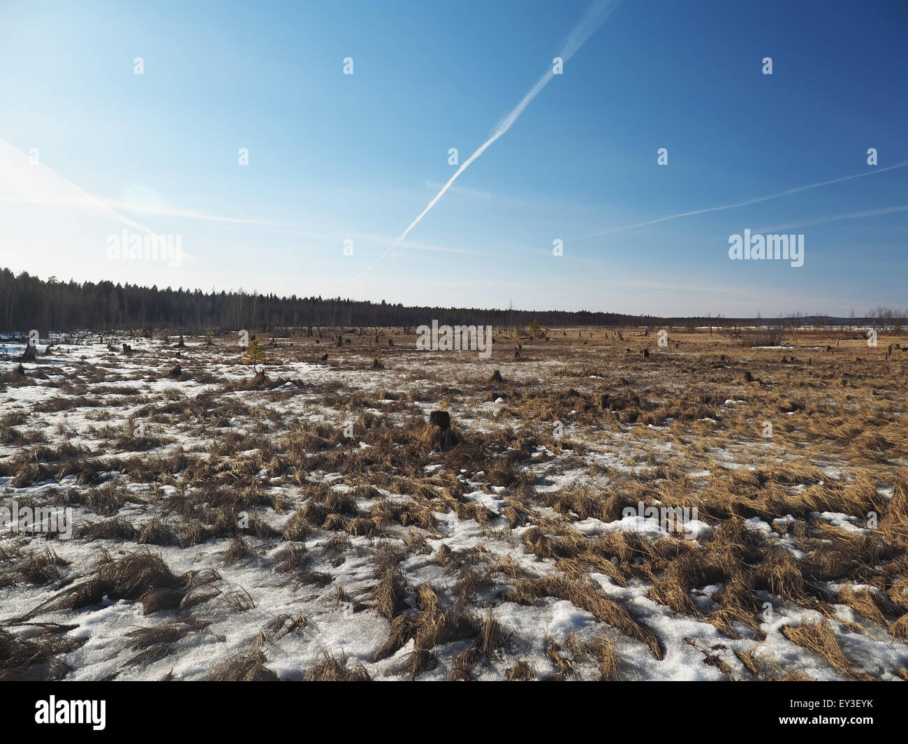 field in early spring Stock Photo - Alamy